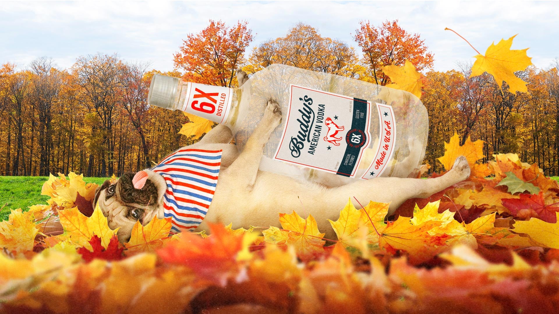 Buddy's American Vodka